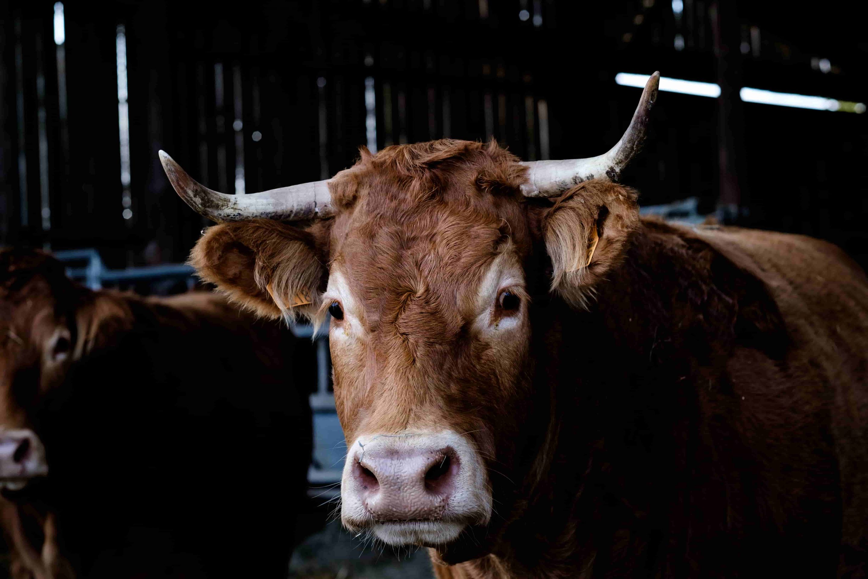 Actualités - cap'AB